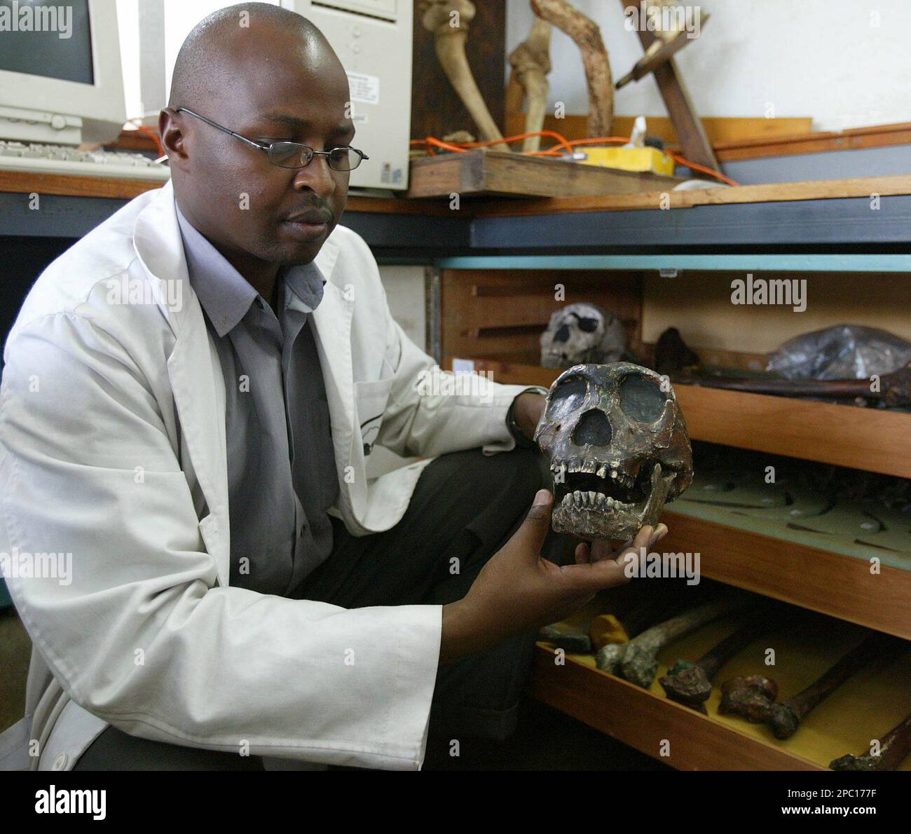 Samuel Muteti a research scientist at Kenya National Museum in Nairobi holds a replica of the ...