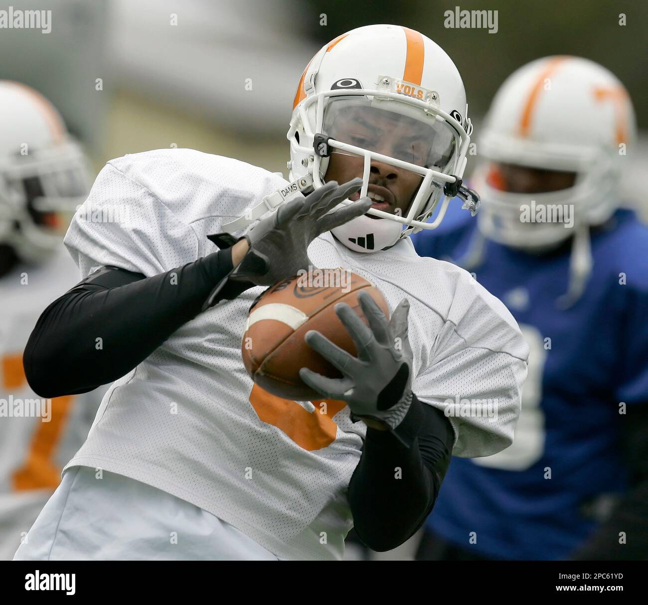 Tennessee wide receiver Robert Meachem catches a pass during Outback ...