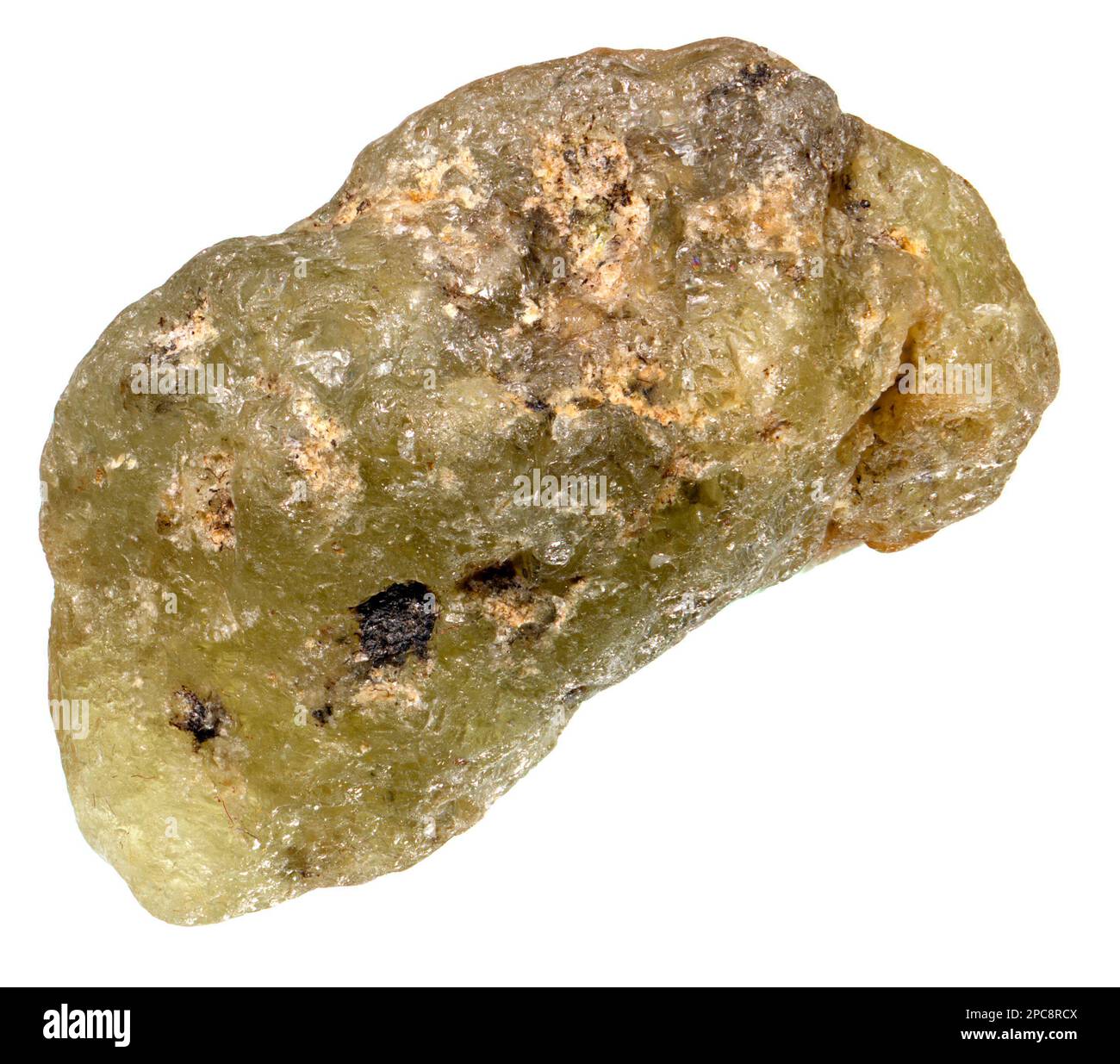 Yellow subject -Fotos und -Bildmaterial in hoher Auflösung – Alamy