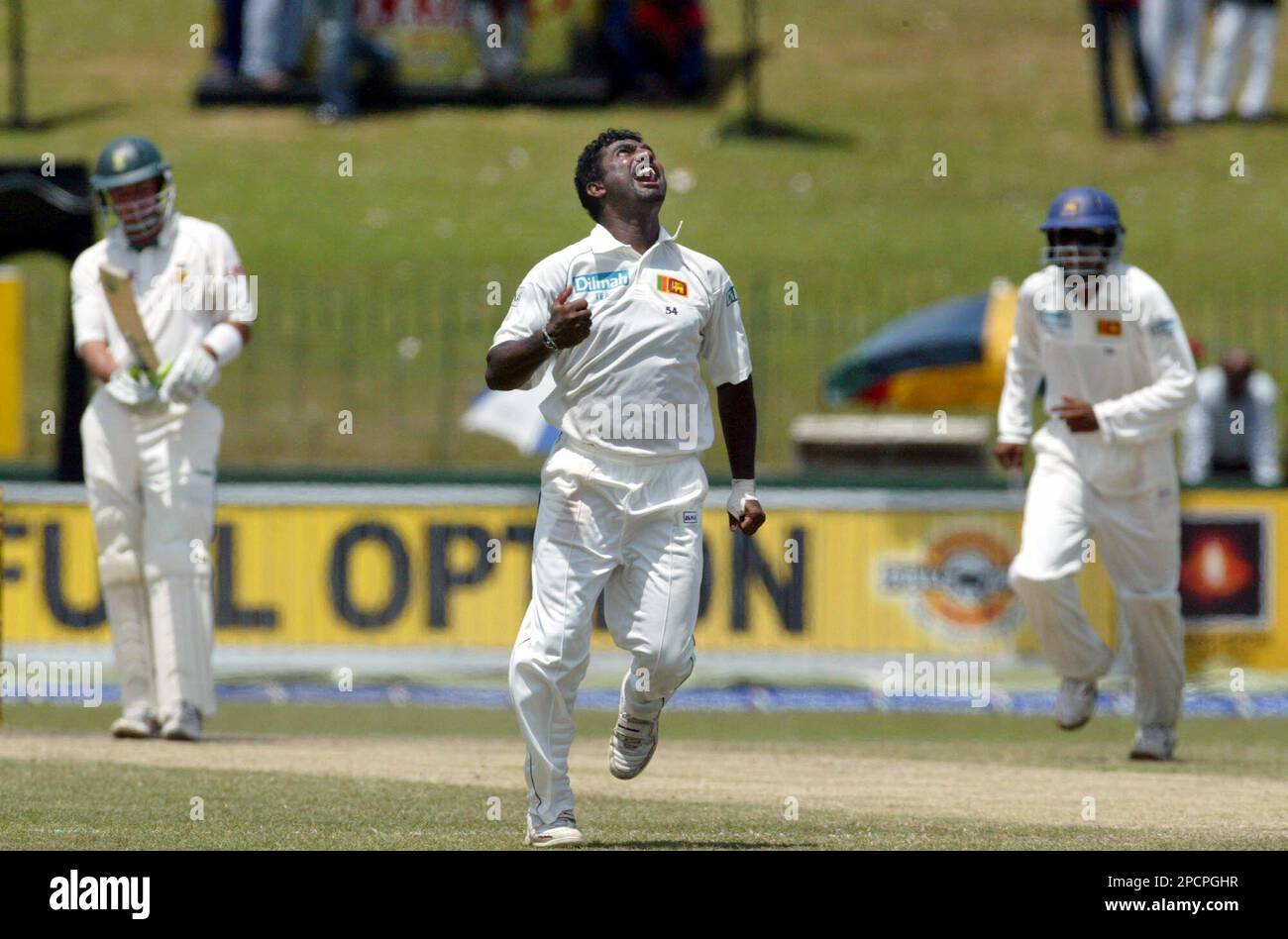Sri Lankan bowler Muttaiah Muralitharan, center, celebrates the wicket ...