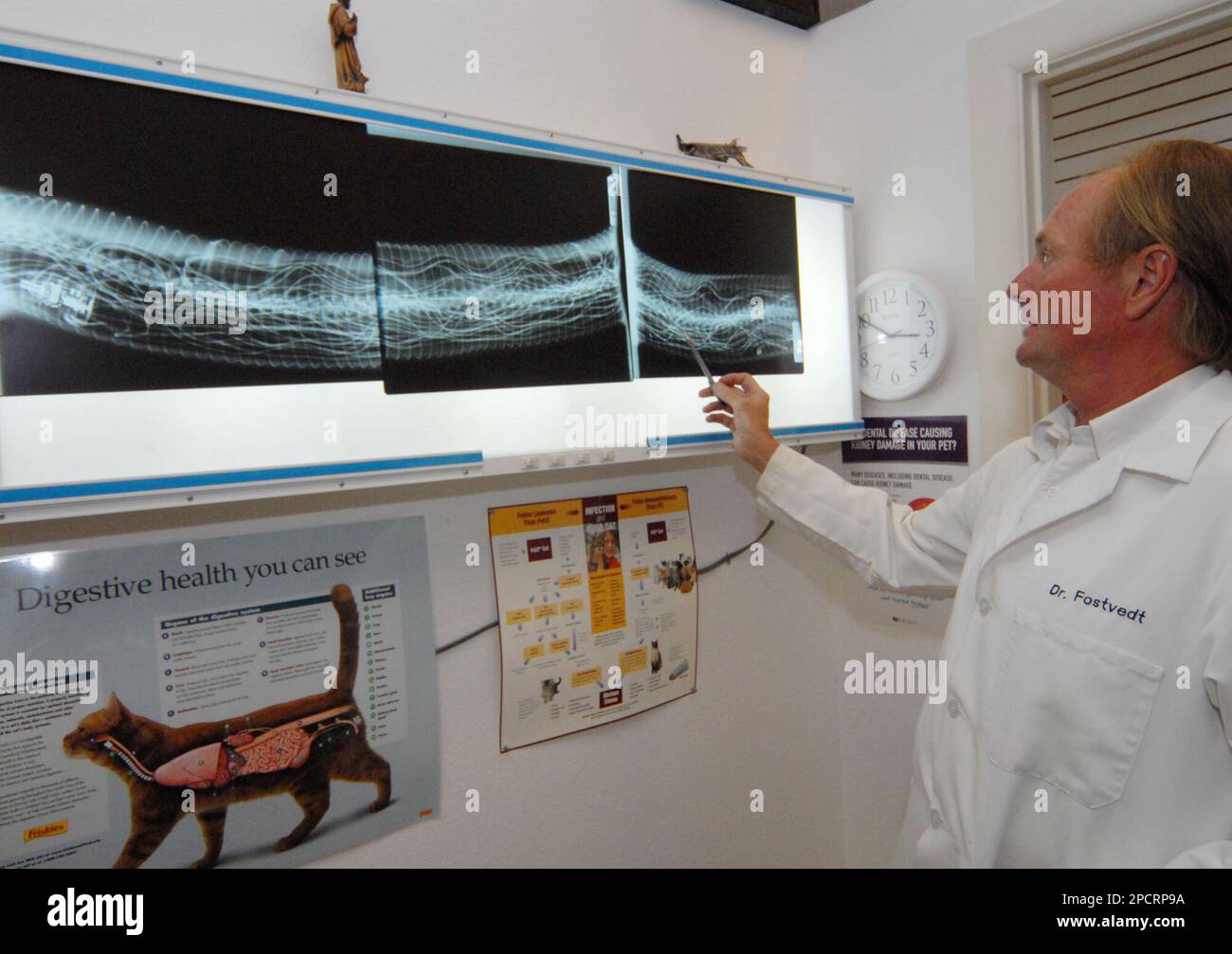 Veterinarian Karsten Fostvedt poses Wednesday, July 19, 2006, in ...