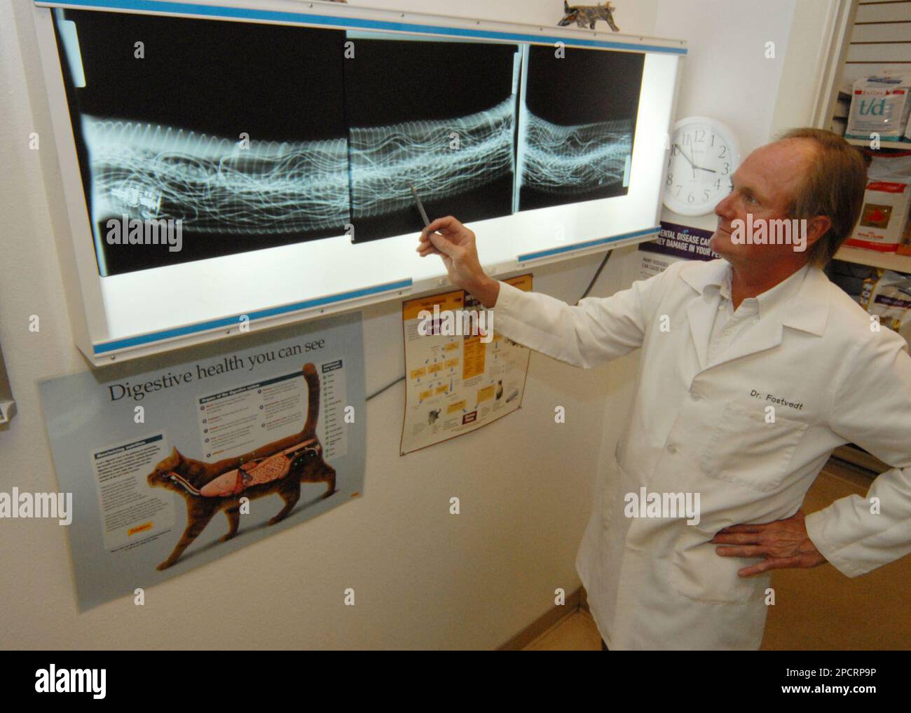 Veterinarian Karsten Fostvedt poses Wednesday, July 19, 2006, in ...