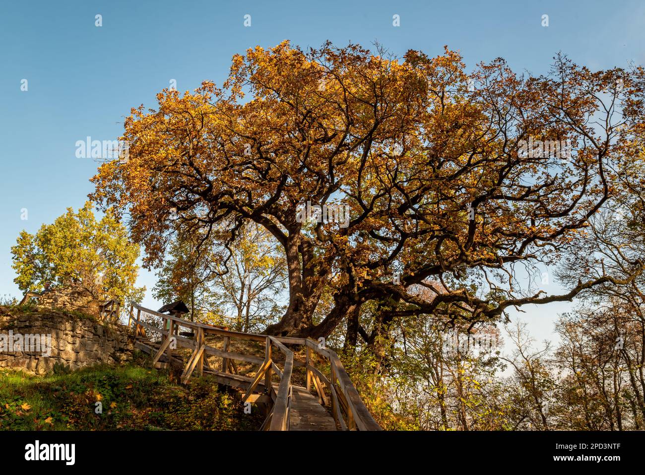 Fejerko festung -Fotos und -Bildmaterial in hoher Auflösung – Alamy