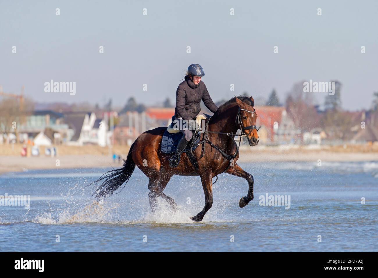 Reiterin/weibliche Reiterin auf dem Pferderücken im seichten Wasser am Strand entlang der ...