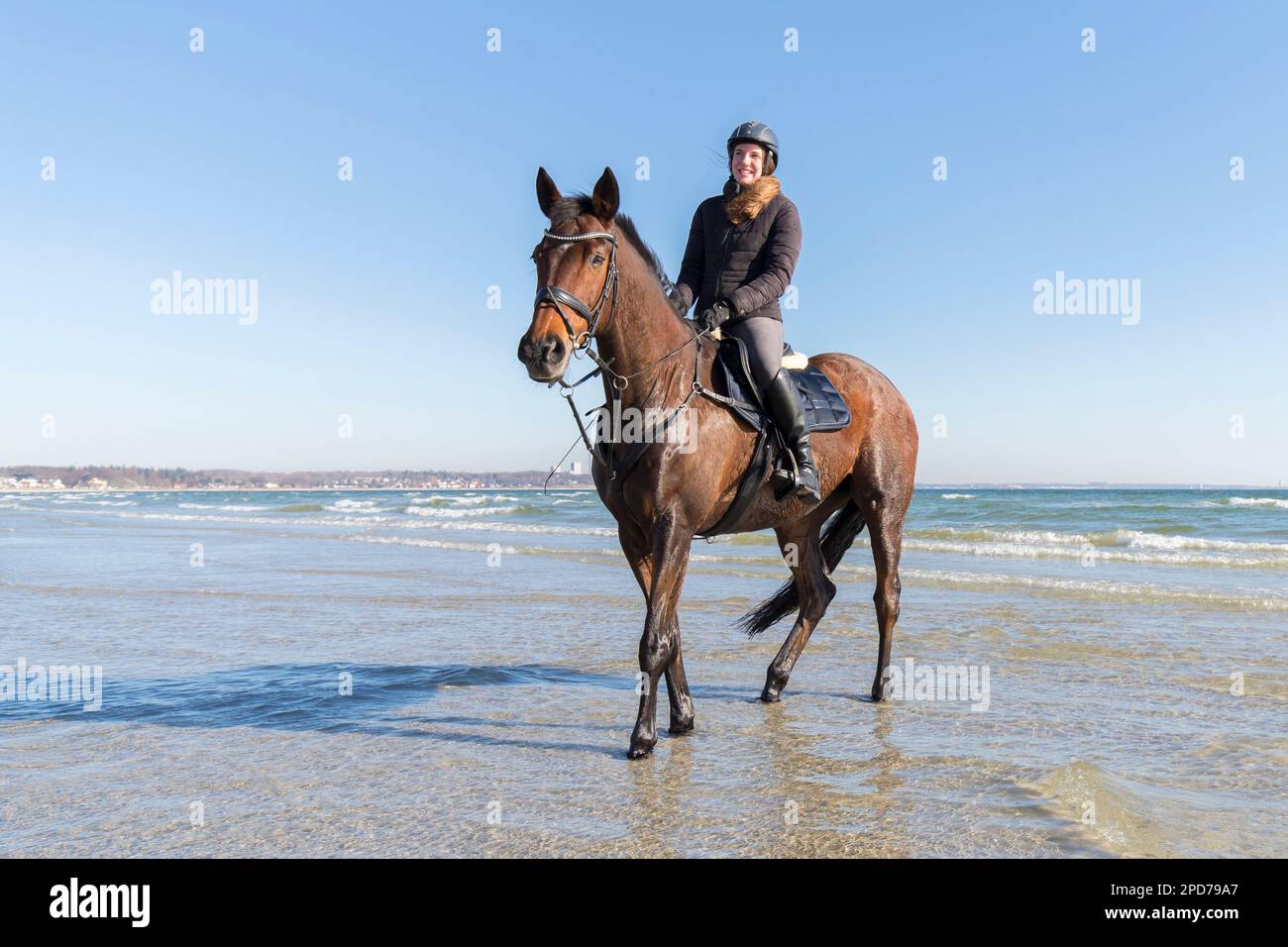 Reiterin/weibliche Reiterin auf dem Pferderücken im seichten Wasser am Sandstrand entlang der ...