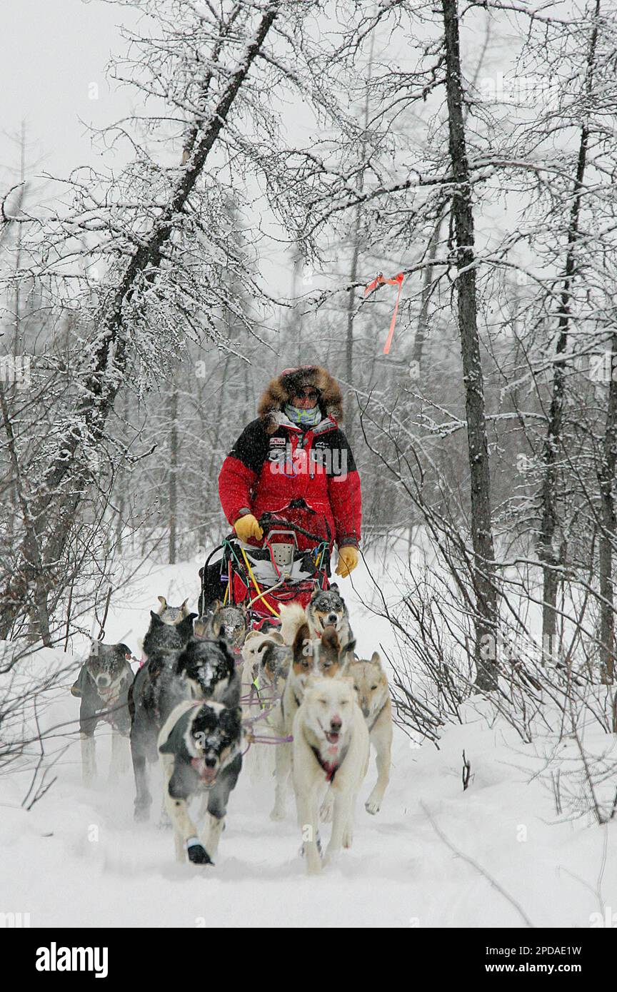 Four time Iditarod champion Doug Swingley runs his team up the Iditarod ...