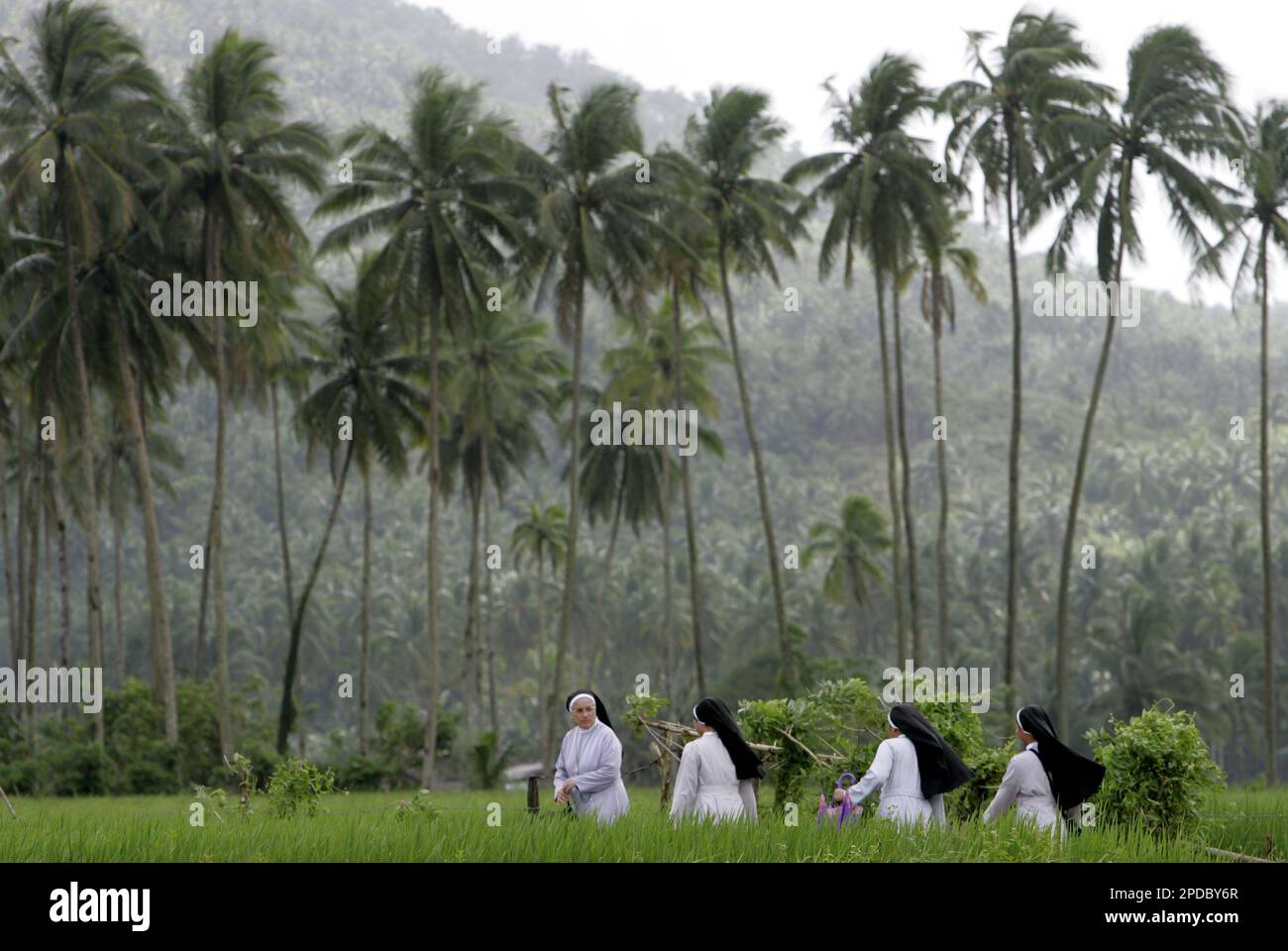 Nuns from the Sisters of the Devine Vocations walk to view the scene of ...