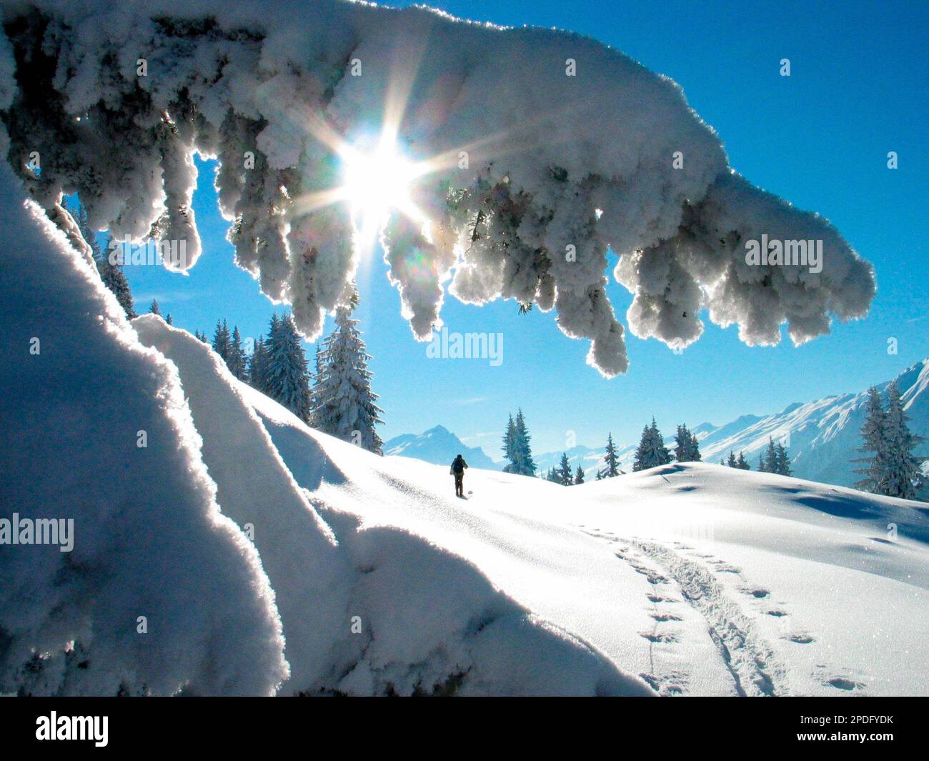 Eine Skitourengaengerin steigt am Freitag, 30. Dezember 2005, bei ...