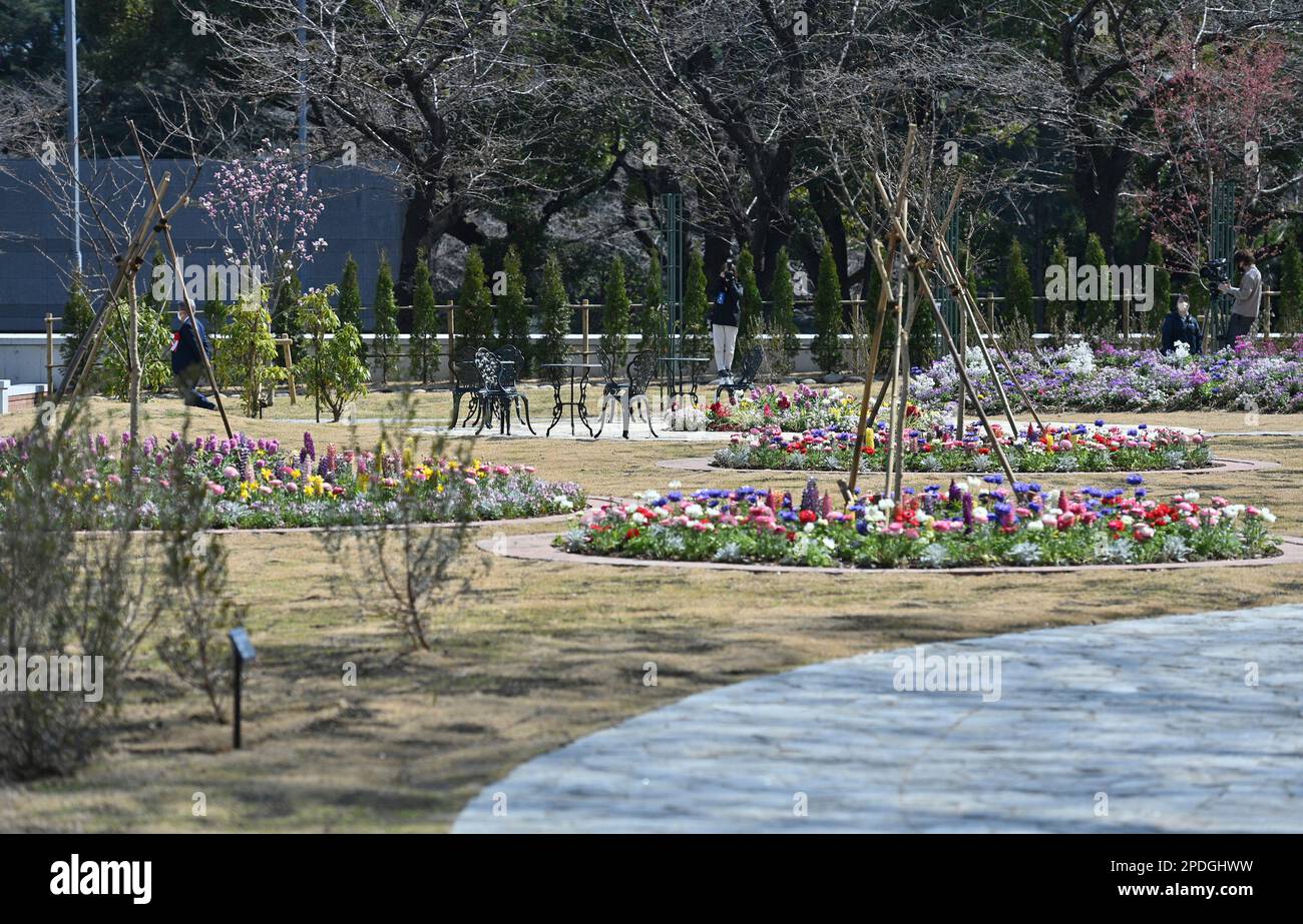The Kokumin Koen Kokyo Gaien Hanzomon Enchi is opened to media in ...