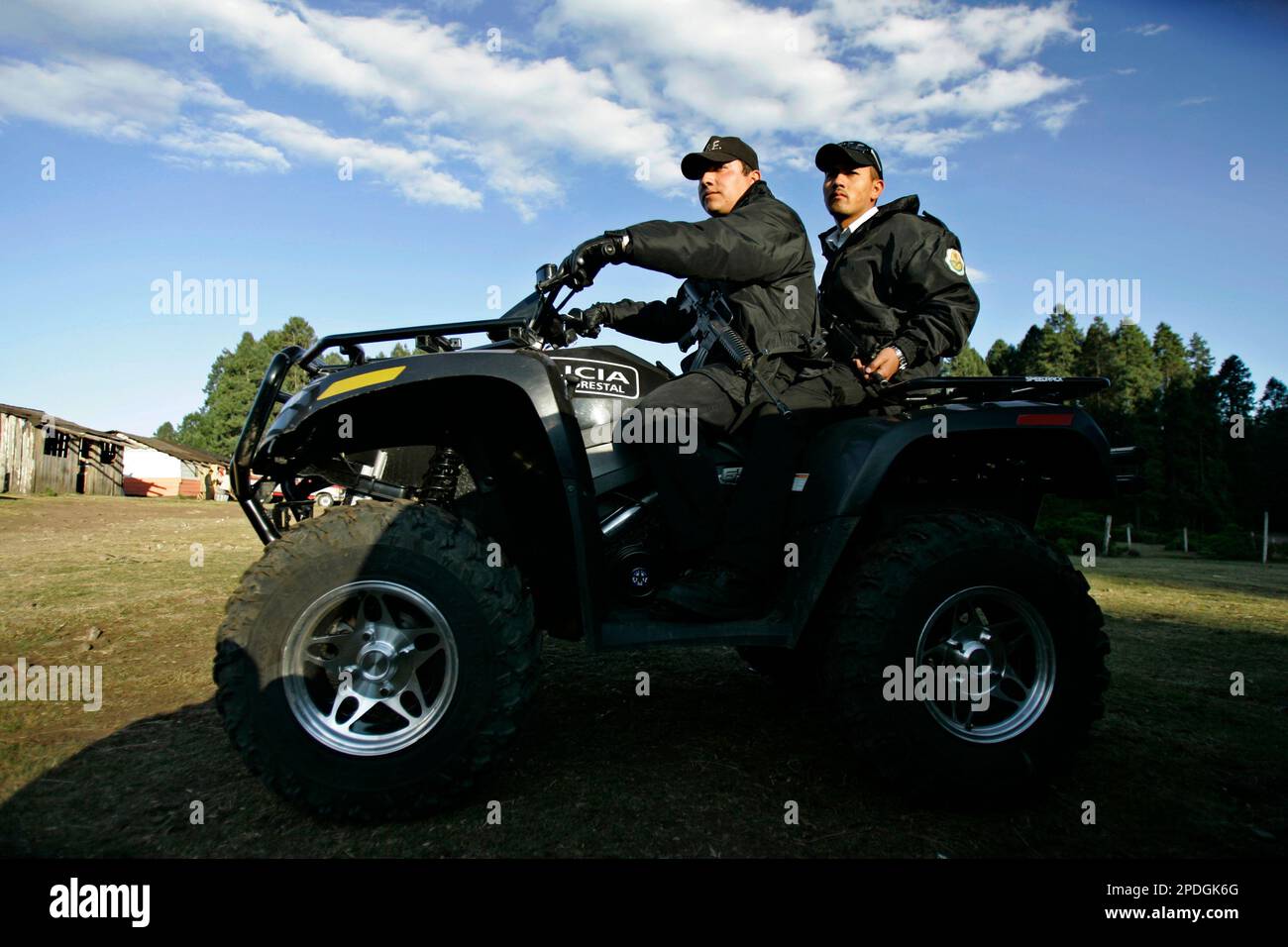 Armed Mexican state forest police sit in one of their vehicles at the ...