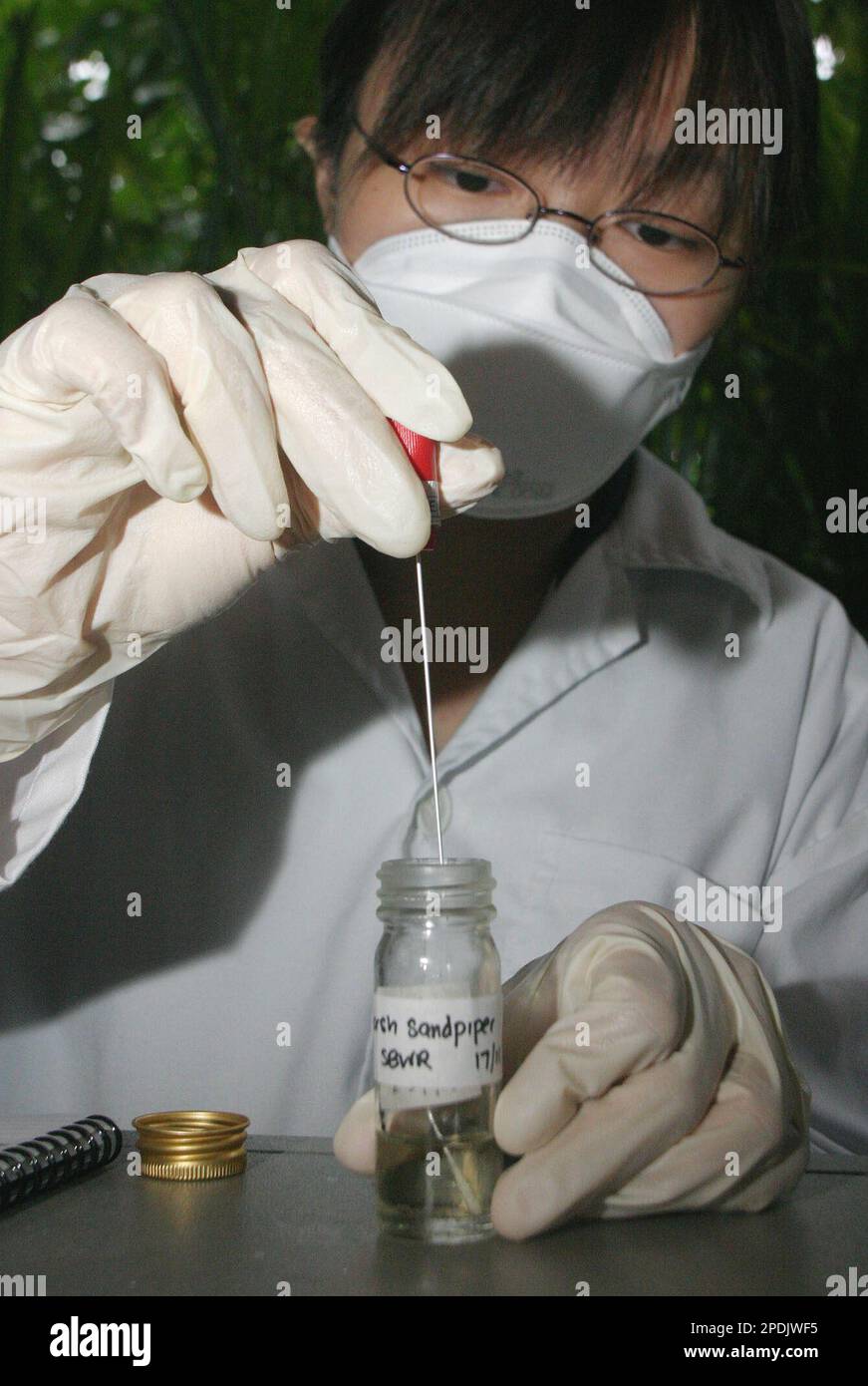 An Agriculture and Veterinary Authority (AVA) regulatory officer ...