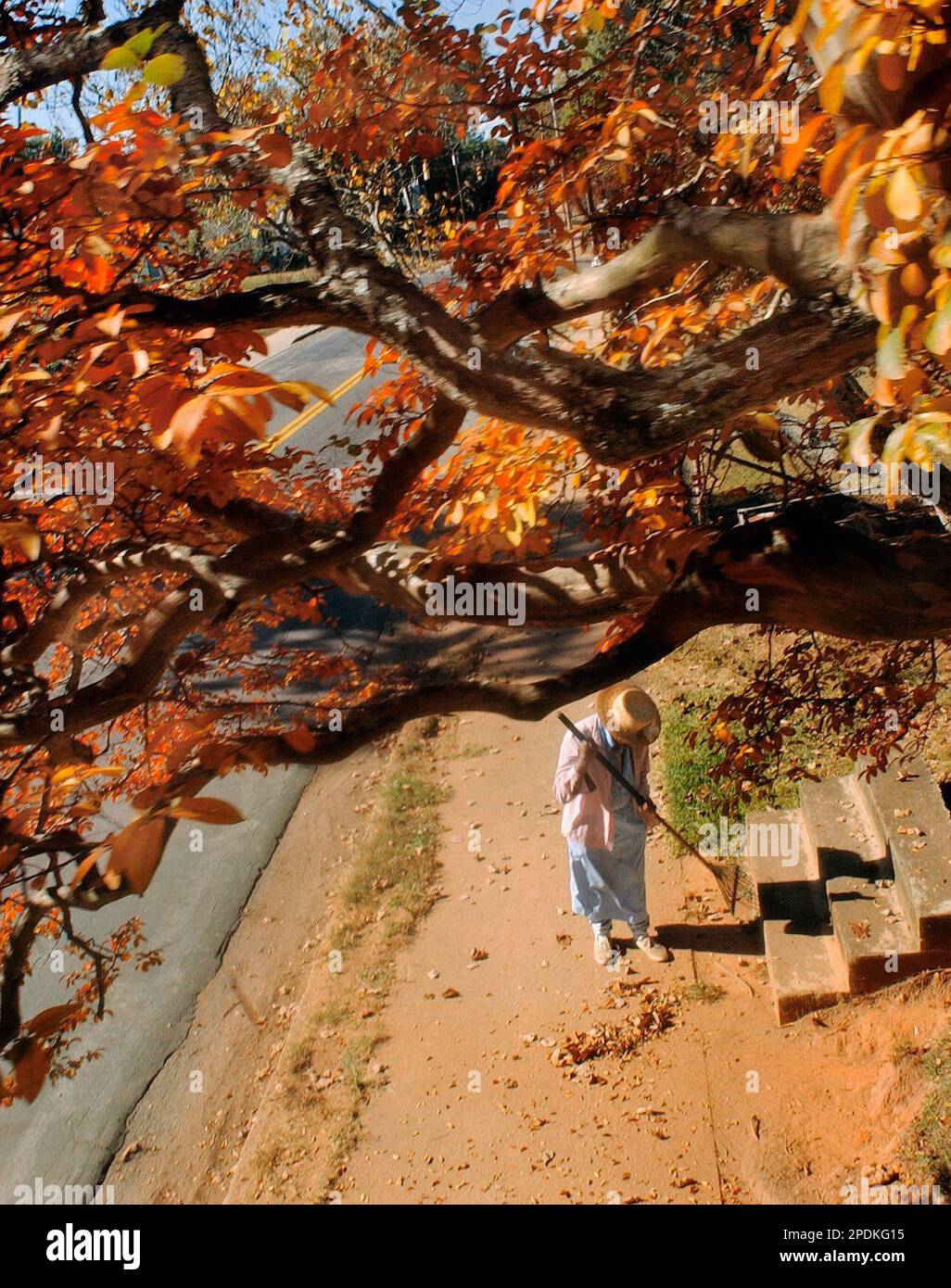 Amanda Robinson of Anderson, S.C., rakes leaves off steps from an old ...