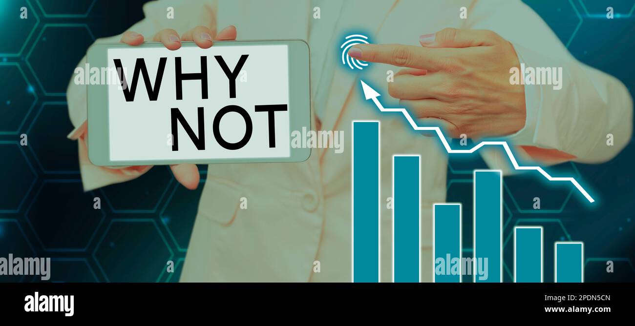 Handschriftliches Schild Warum nicht? Das Wort, auf das geschrieben wurde, dient dazu, einen ...