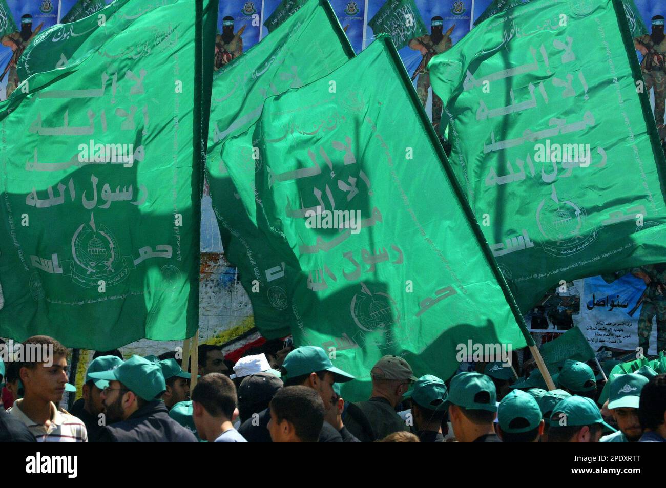 Palestinian supporters of the Islamic Hamas movement carry Hamas flags ...