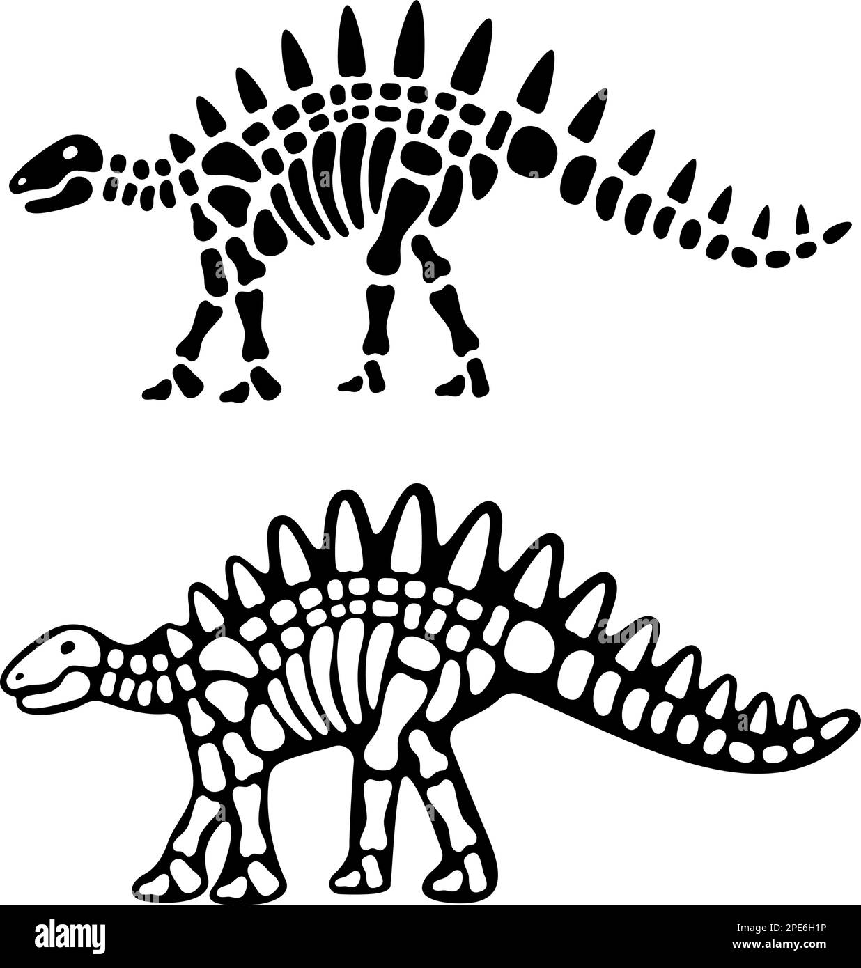 Kentrosaurus Skeleton