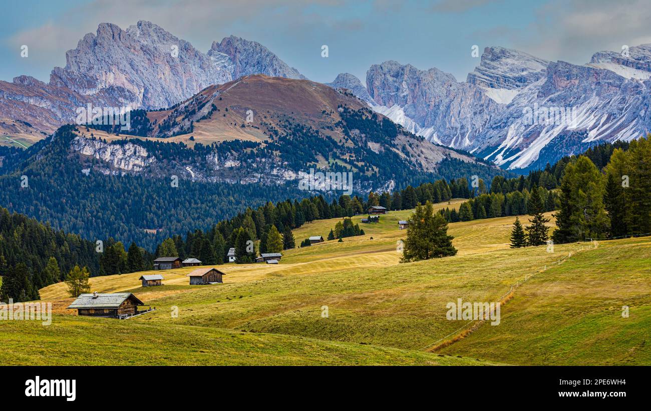 Herbstwiesen und Berghütten an der Alpe di Siusi, hinter den ...