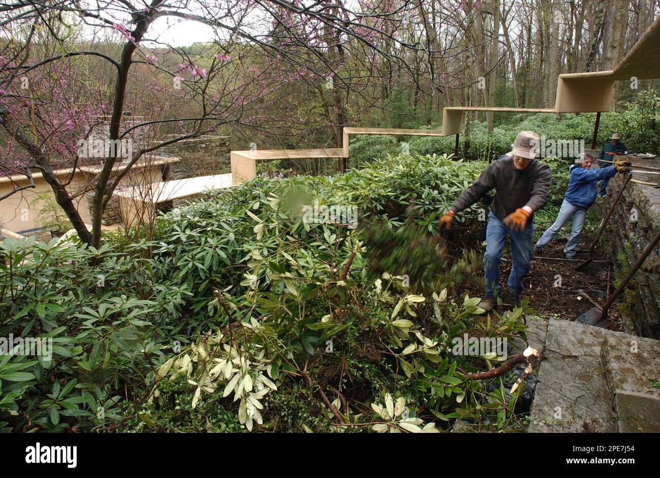 Bill Fitzpatrick and his wife Donna, right, pull weeds with other ...