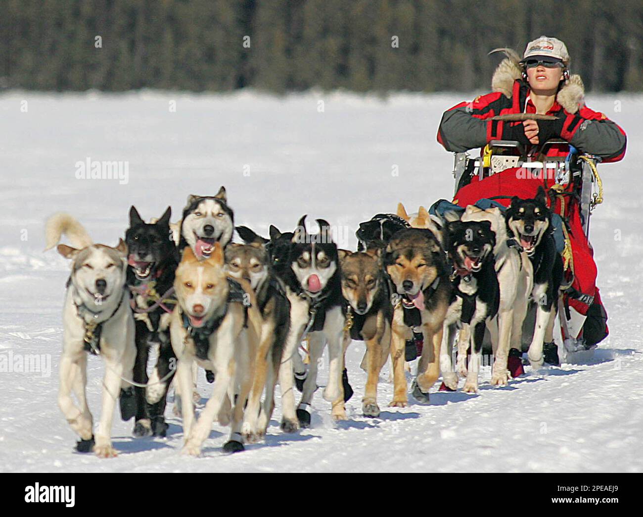 ** FILE ** Rachael Scdoris from Bend, Ore., drives her dog team across ...