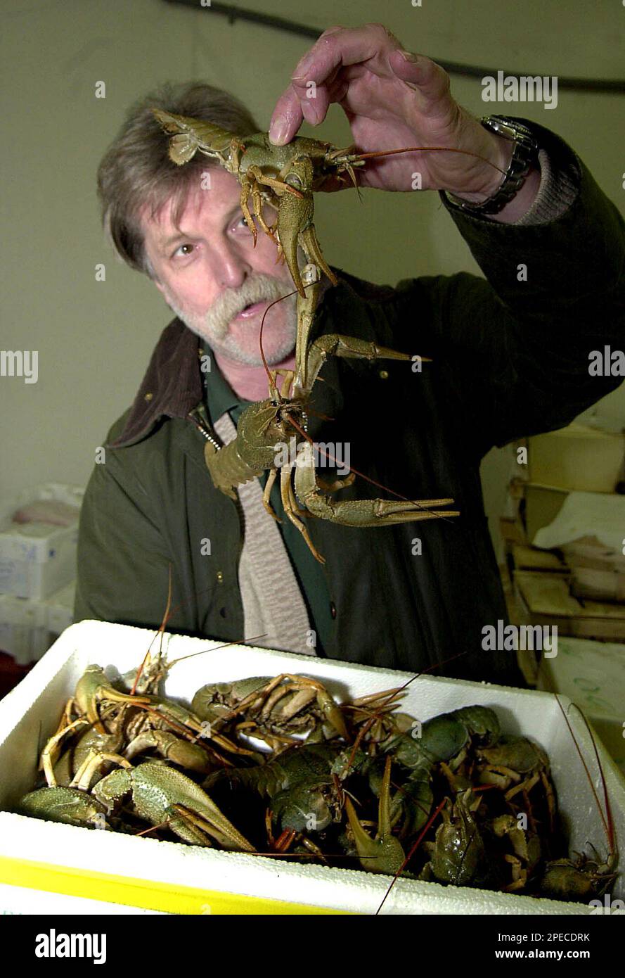 **ARCHIV ** Der Geschaeftsfuehrer des Gastronomie-Zulieferbetriebes ...