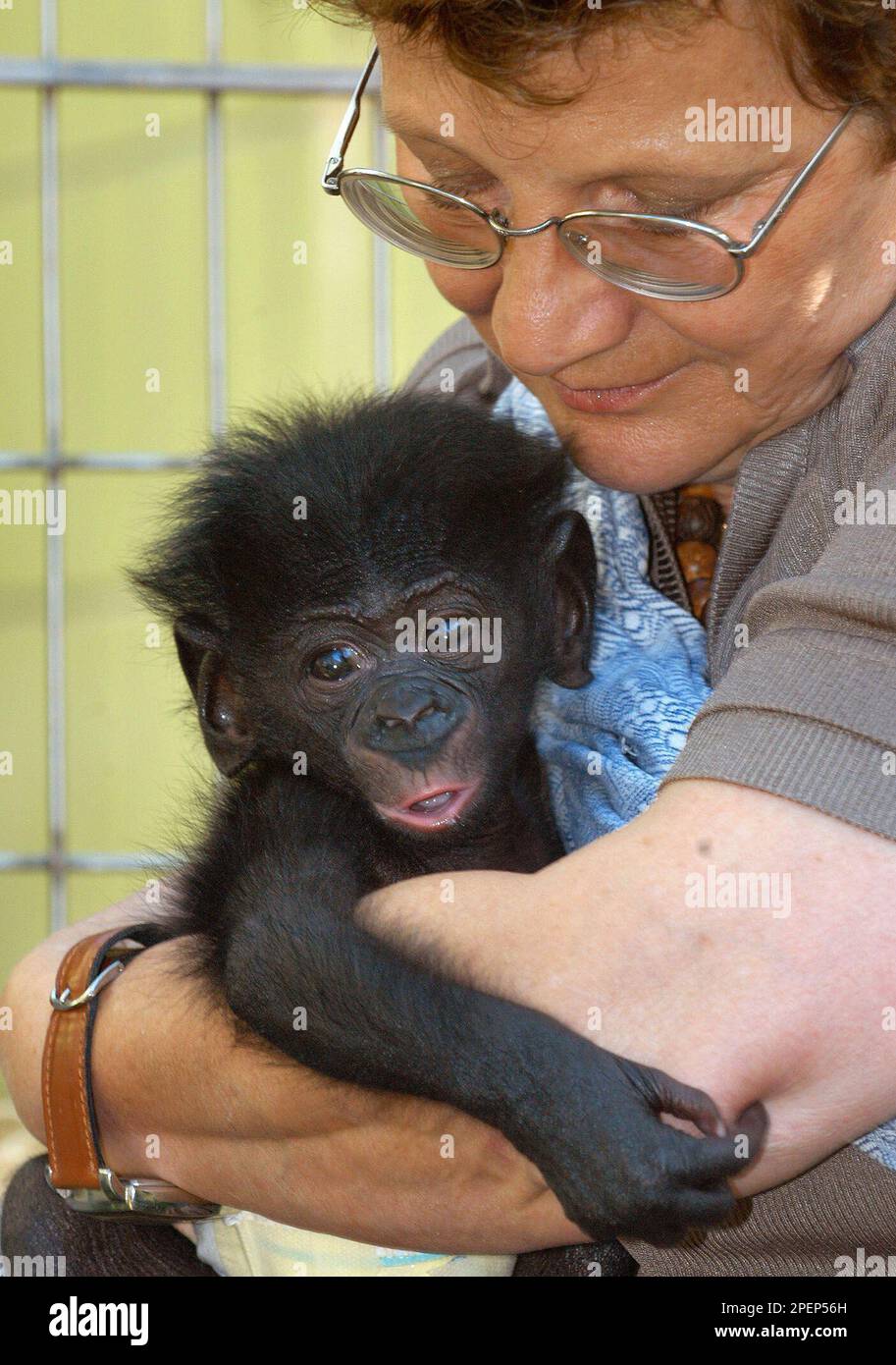 Anne Marie Schmidt, Frau des Frankfurter Zoodirektors, haelt am ...