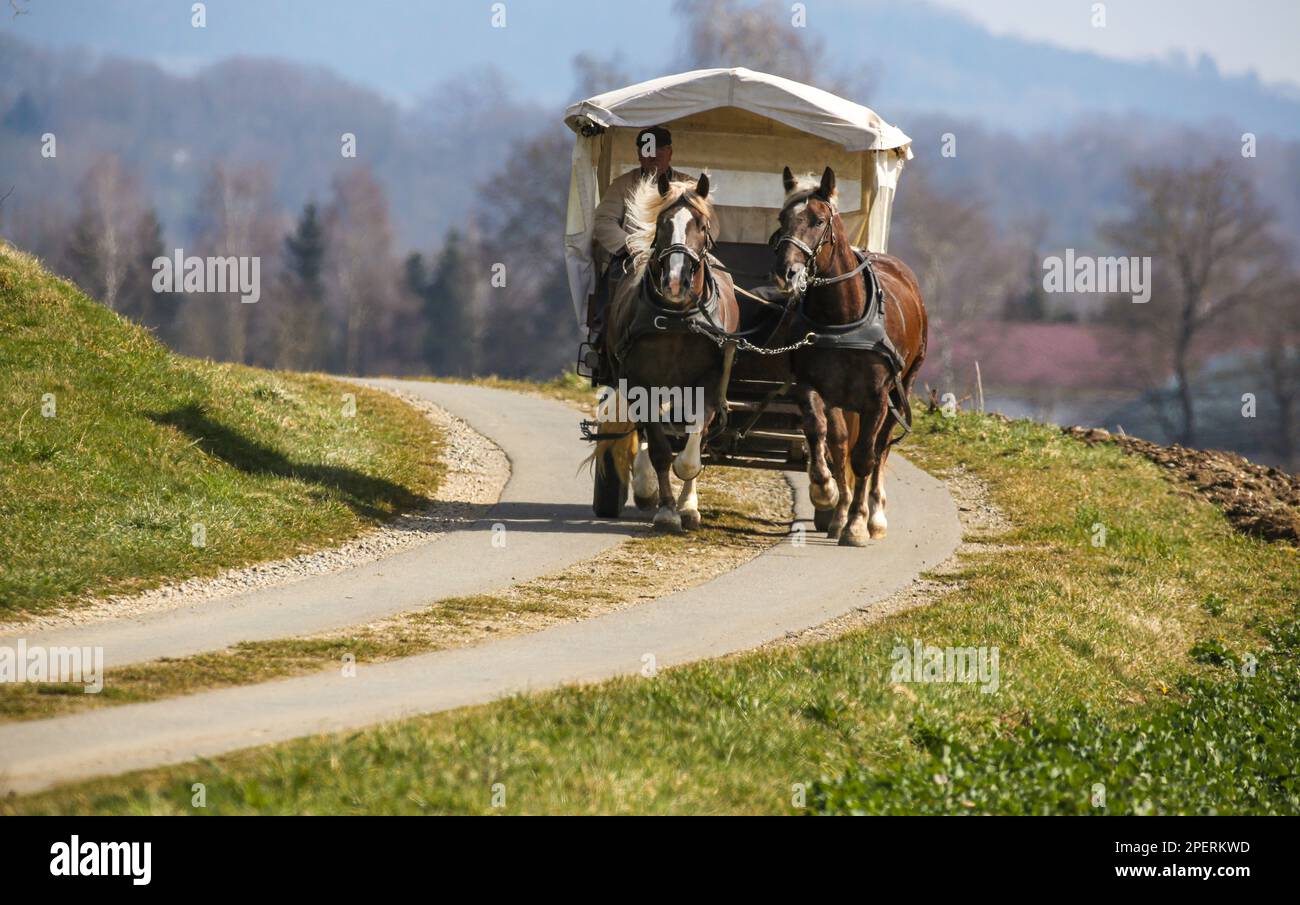 16. März 2023, Baden-Württemberg, Altheim: Ein Mann reist mit einer ...