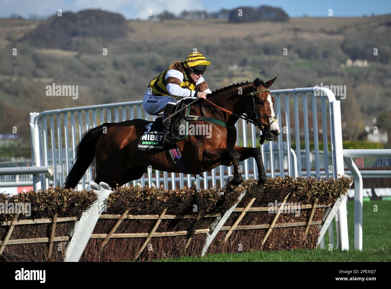 Rennen Sie Um 4 Uhr Die Unibet Champion Hürde. Jason, der militante ...