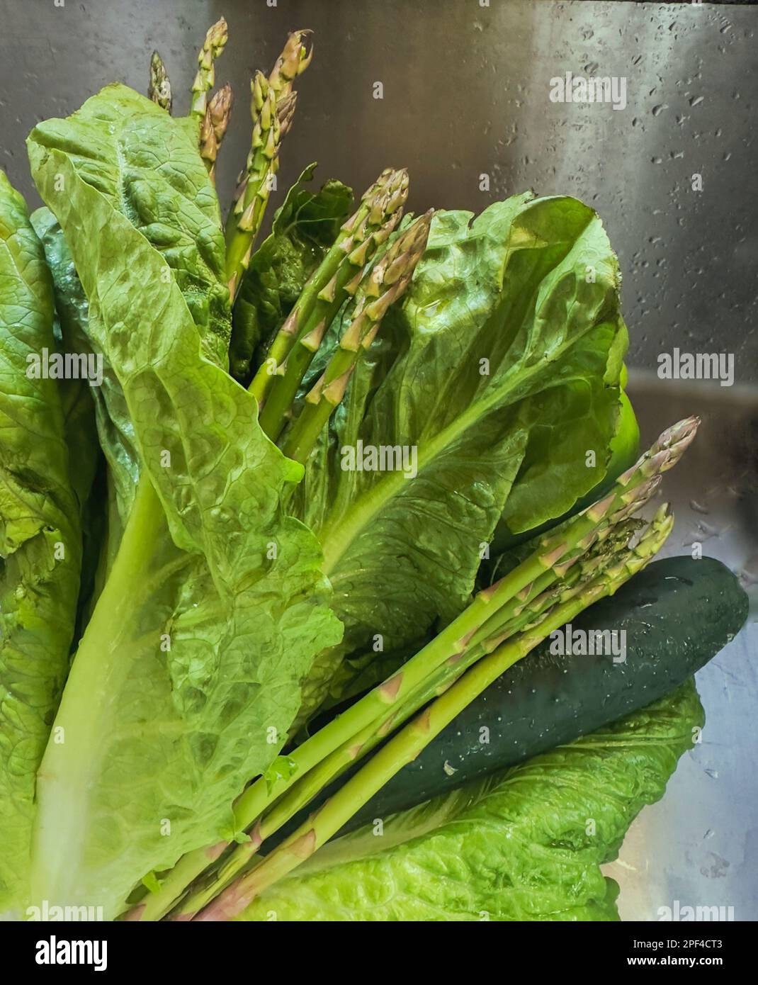 Das Makrobild für die Nahaufnahme zeigt grünes Gemüse aufrecht im ...