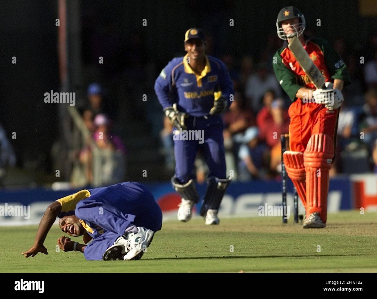 Zimbabwean batsman Grant Flower is out, caught and bowled by Sri Lankan ...