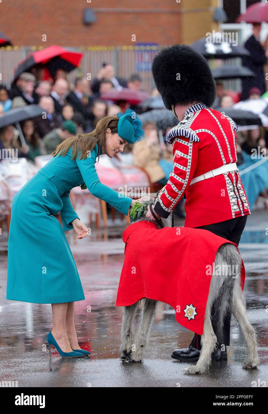 Britain's Kate, the Princess of Wales meets with Irish Wolf Hound ...