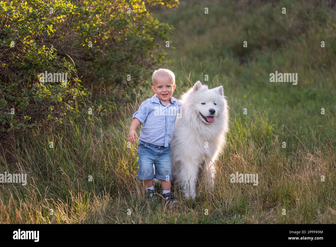 Therapie training -Fotos und -Bildmaterial in hoher Auflösung – Alamy