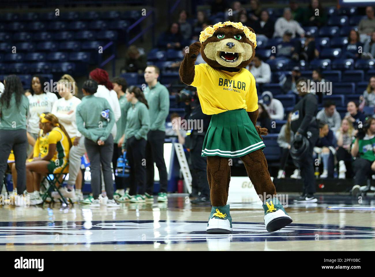 STORRS, CT - MARCH 18: Baylor Bears mascot Marigold during the Alabama ...