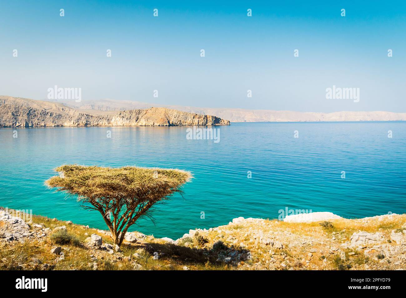 Wunderschöne sonnige, trockene Oman-Landschaft in der persischen Golf ...