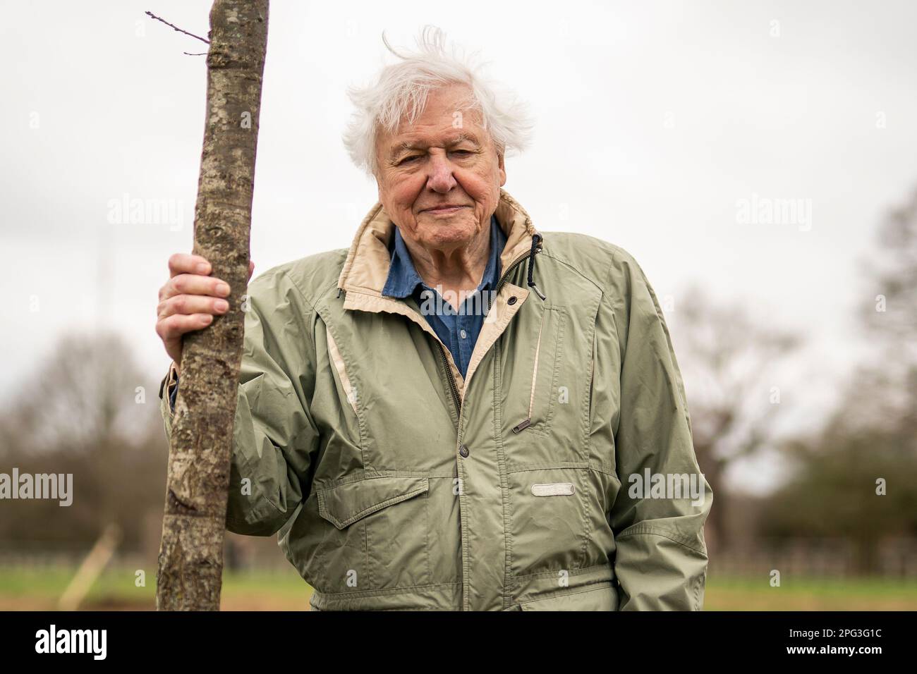 Sir David Attenborough pflanzt zu Ehren von Königin Elizabeth II. Einen ...