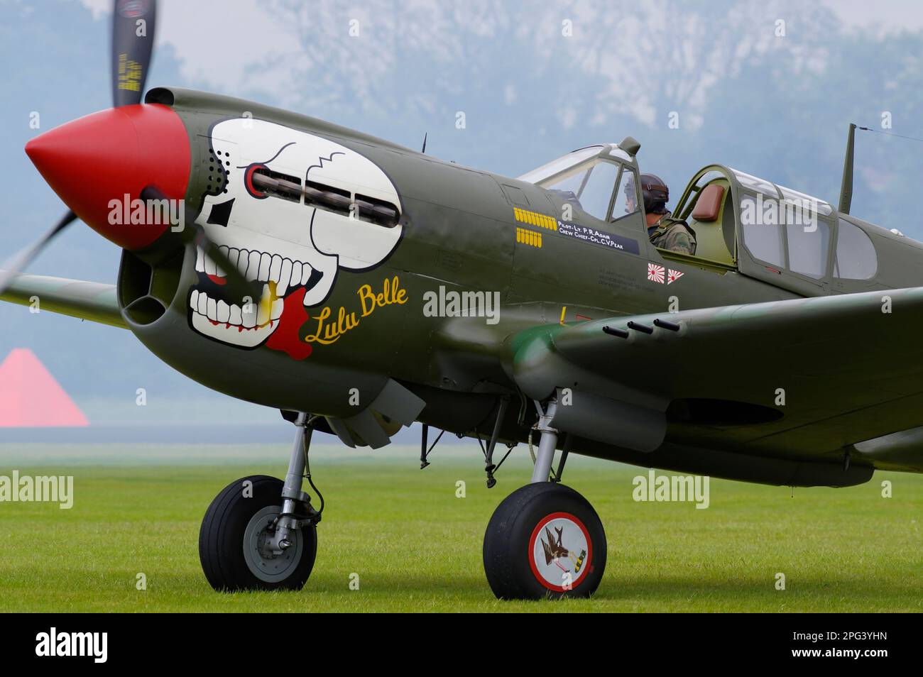 Der curtiss p 40 warhawk war ein amerikanischer einmotoriger -Fotos und ...