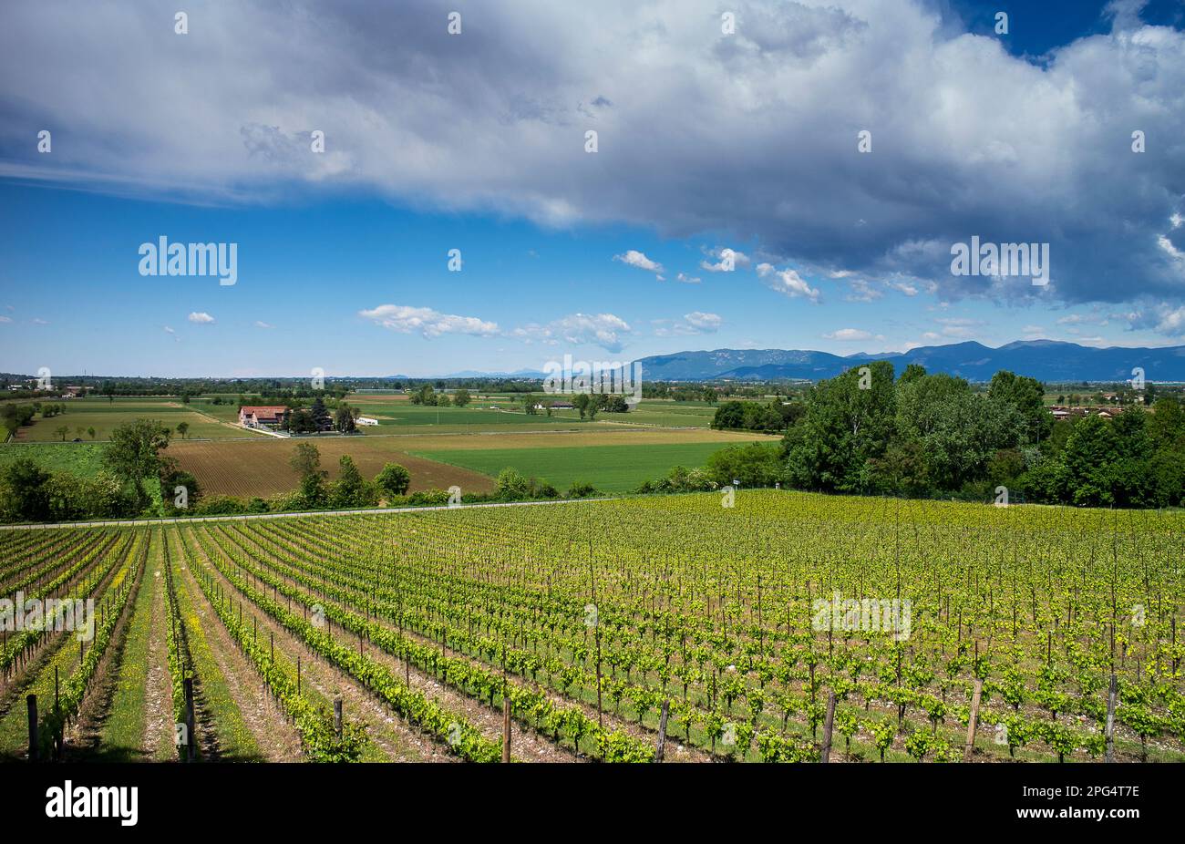 Po valley -Fotos und -Bildmaterial in hoher Auflösung – Alamy