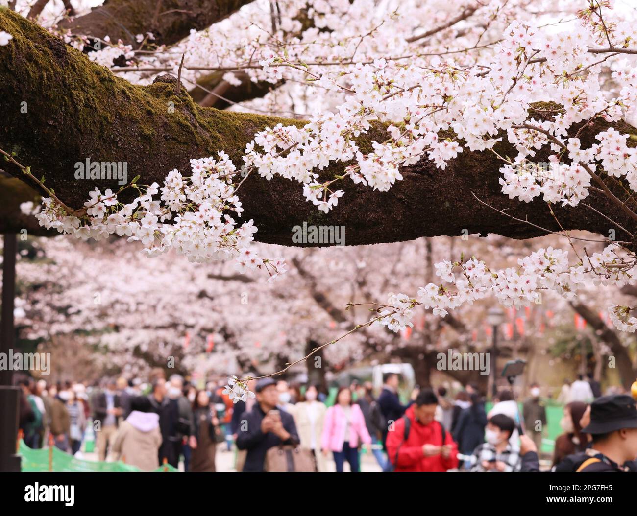 Dienstag märz 21 -Fotos und -Bildmaterial in hoher Auflösung – Alamy
