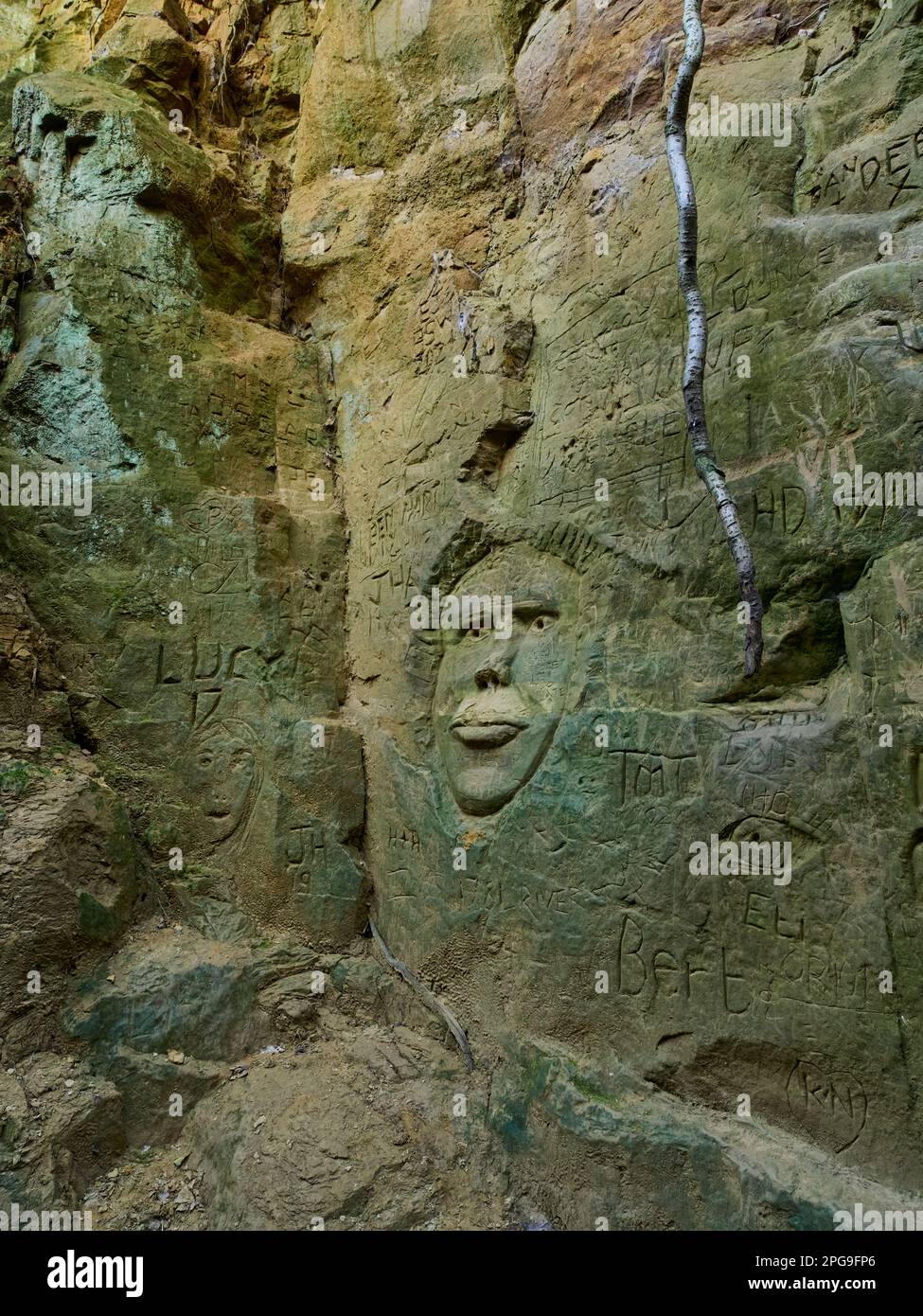 Symondsbury Shute's Lane und Hell Lane Antike holloways oder versunkene ...