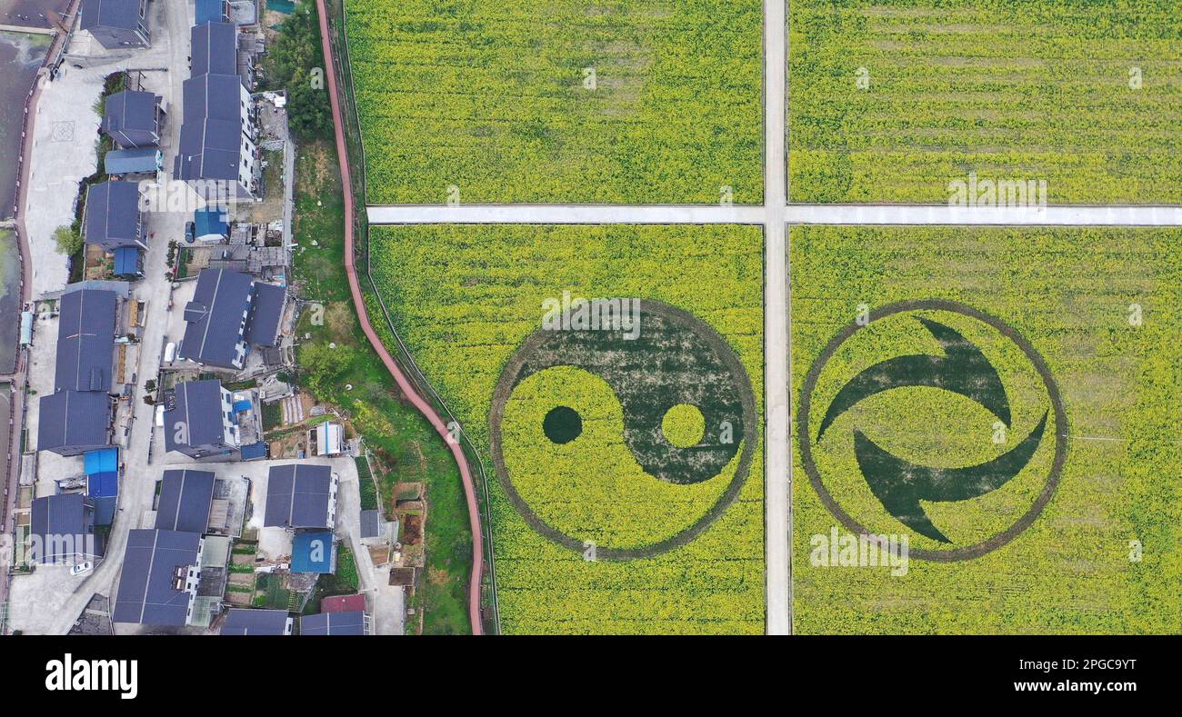 SHIYAN, CHINA - 21. MÄRZ 2023 - Foto aufgenommen am 21. März 2023 zeigt ...