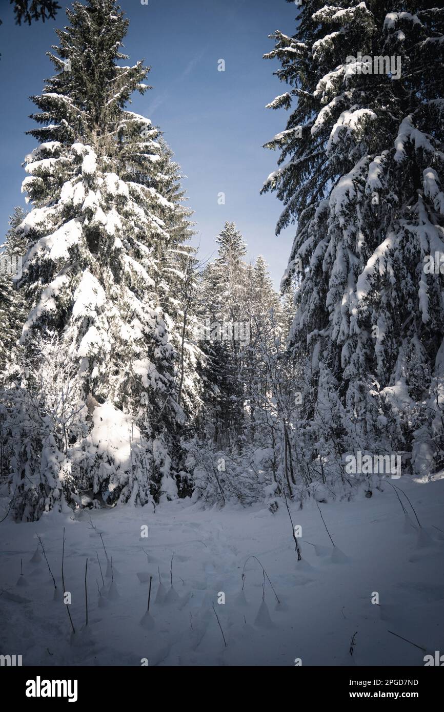 Eine vertikale Aufnahme einer majestätischen Winterszene mit einem ...