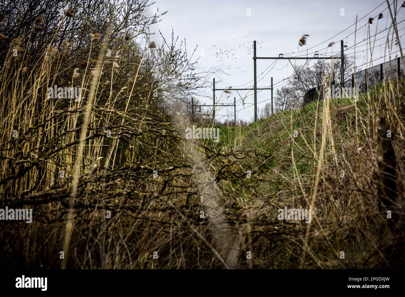 ESCH - die Eisenbahn in der Nähe des Dorfes Esch. Es gibt keine Züge ... ESCH - die Eisenbahn in der Nähe des Dorfes Esch. Es gibt keine Züge ...