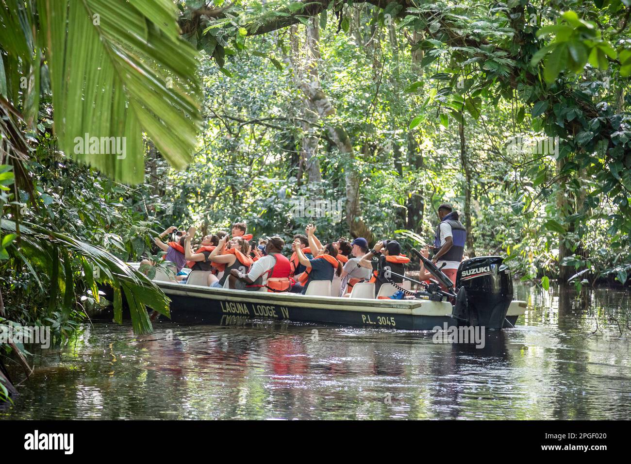 Tortuguero-Nationalpark, Costa Rica - Touristen fahren mit einem Boot ...