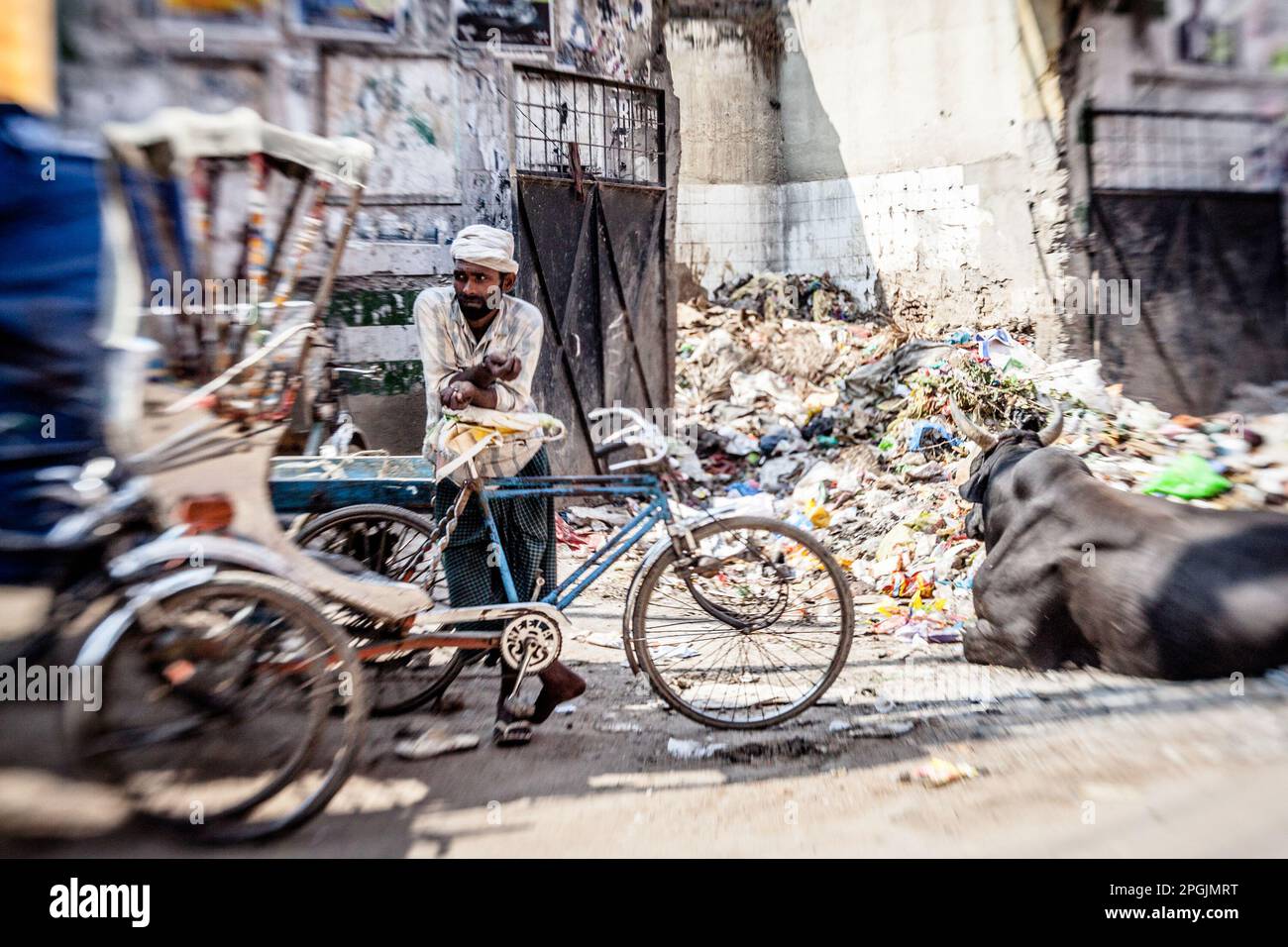 VARANASI, INDIEN - 28. OKTOBER: Vormittag auf einer Straße in Varanasi ...
