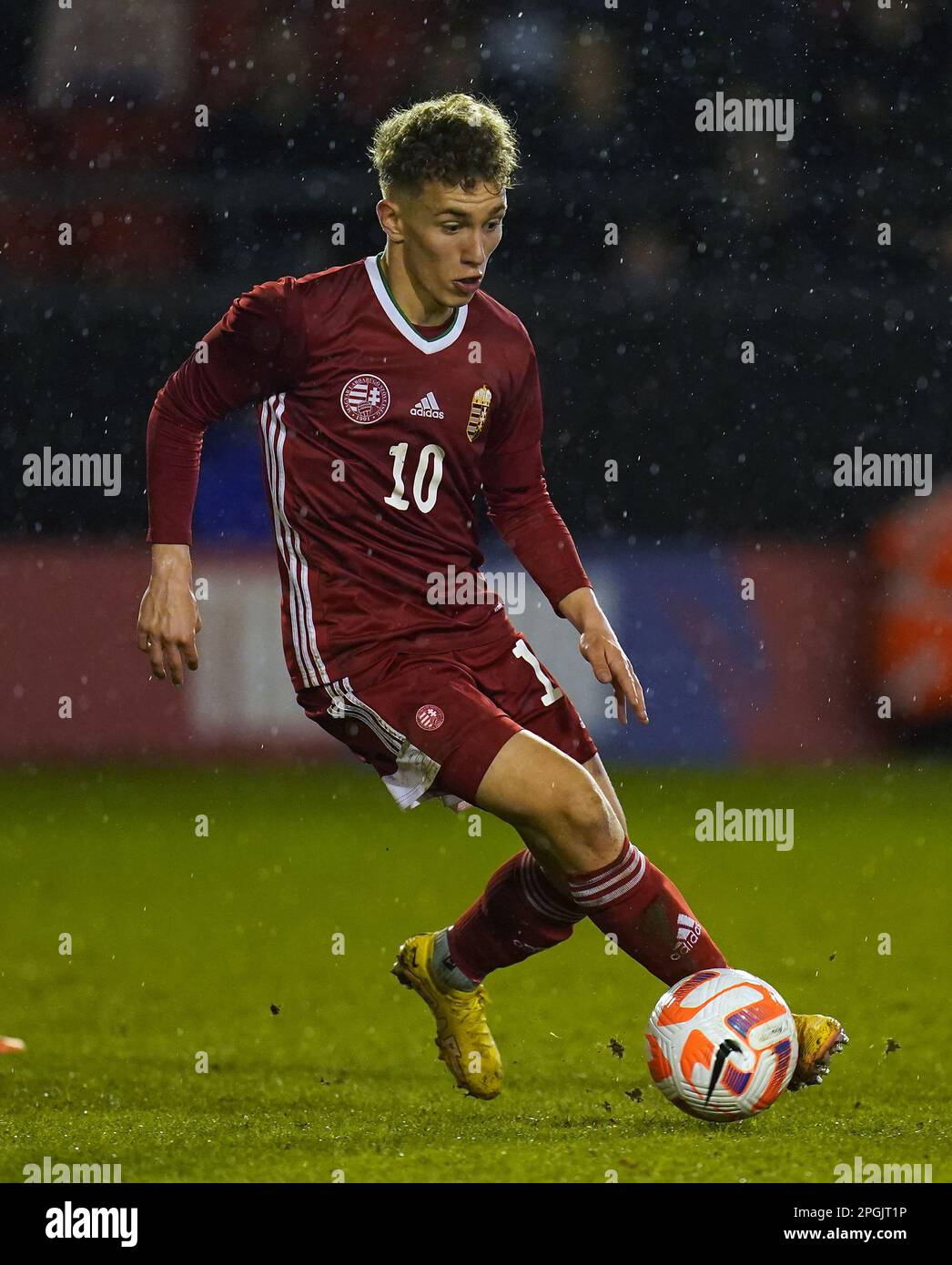 Zalan vancsa -Fotos und -Bildmaterial in hoher Auflösung – Alamy