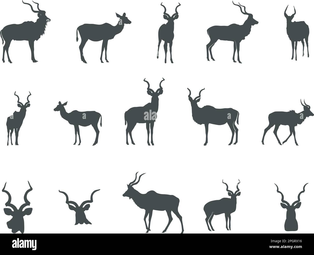 Kudu Silhouette, Kudu Horn Silhouette, Antlers Silhouette, Kudu Head ...