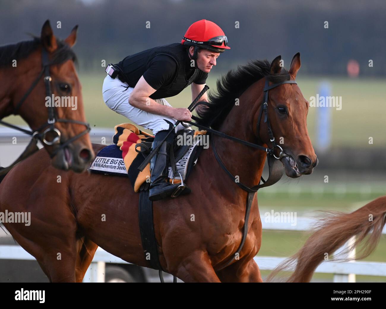 Der klassische hoffnungsvolle Little Big Bear wird von der Jockey ...