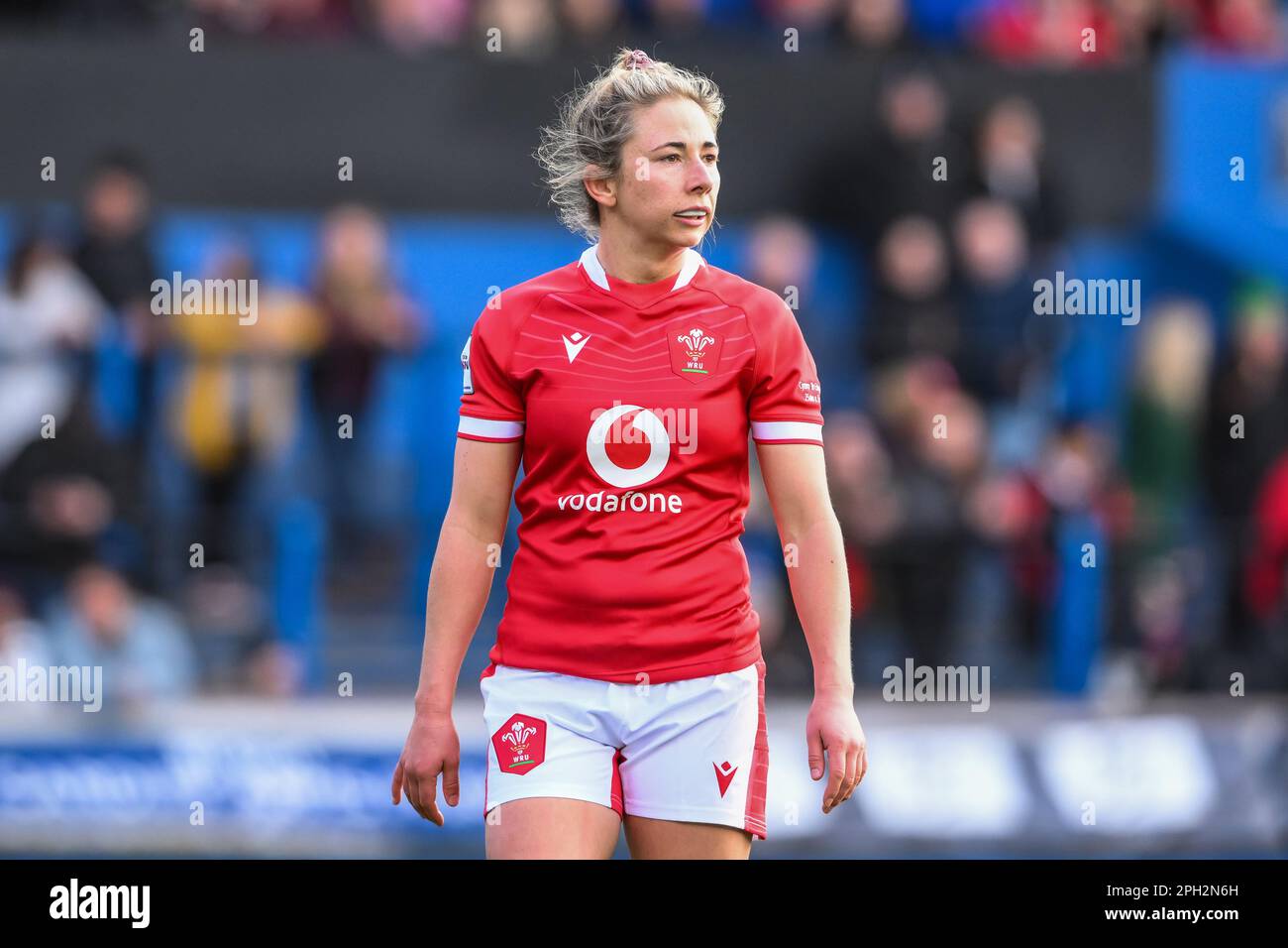 Bt cardiff armpark -Fotos und -Bildmaterial in hoher Auflösung – Alamy