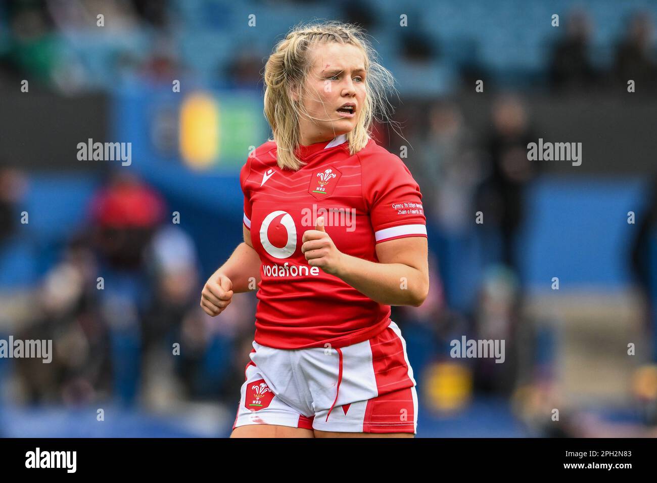 Bt cardiff armpark -Fotos und -Bildmaterial in hoher Auflösung – Alamy