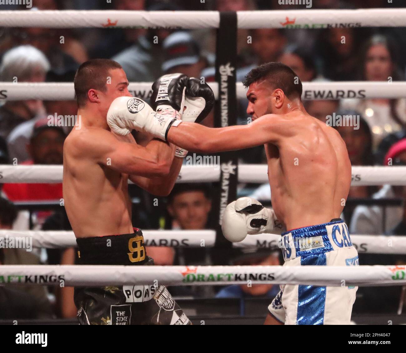 Alejandro spencer -Fotos und -Bildmaterial in hoher Auflösung – Alamy