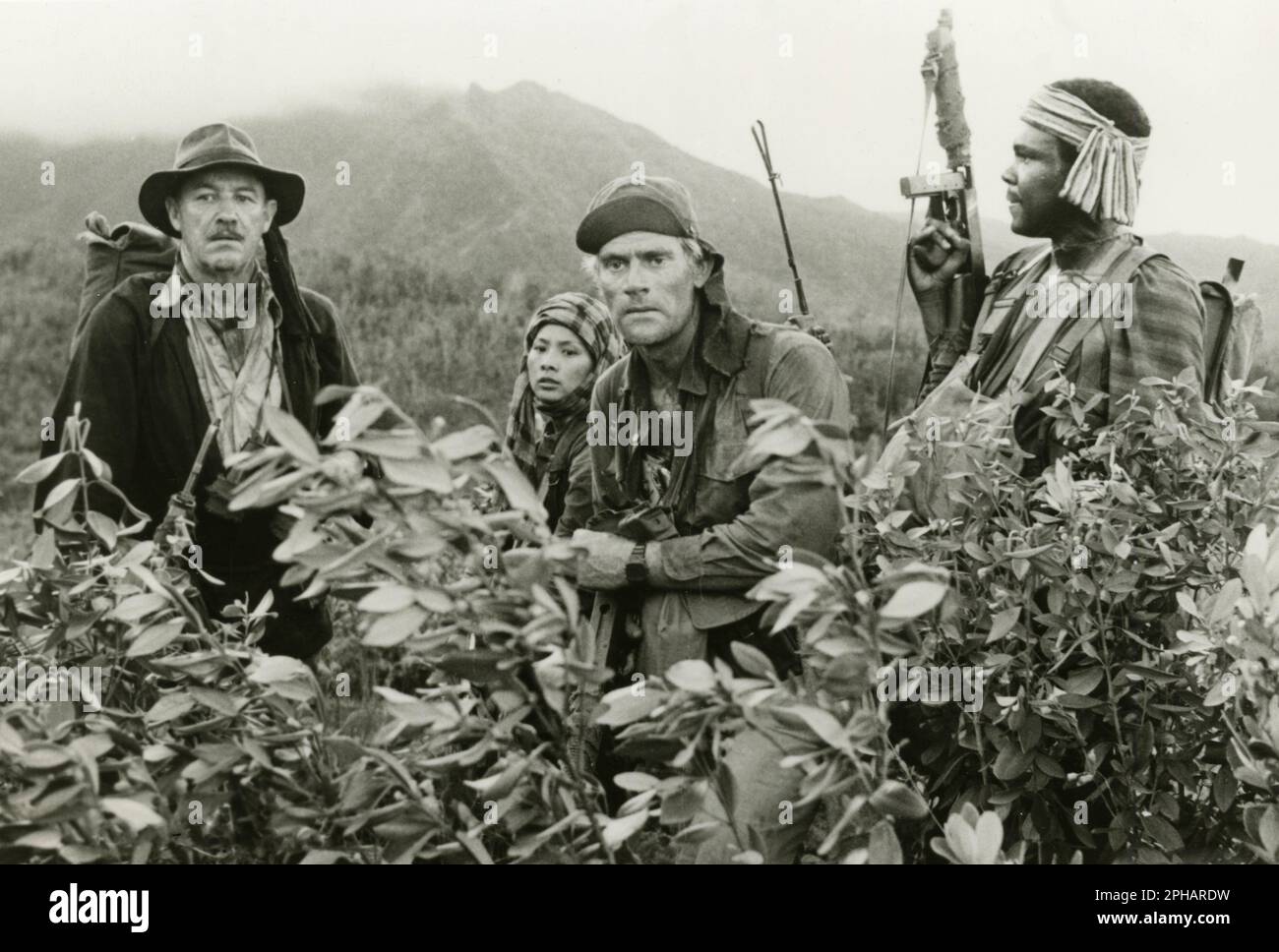 Tim sylvester -Fotos und -Bildmaterial in hoher Auflösung – Alamy