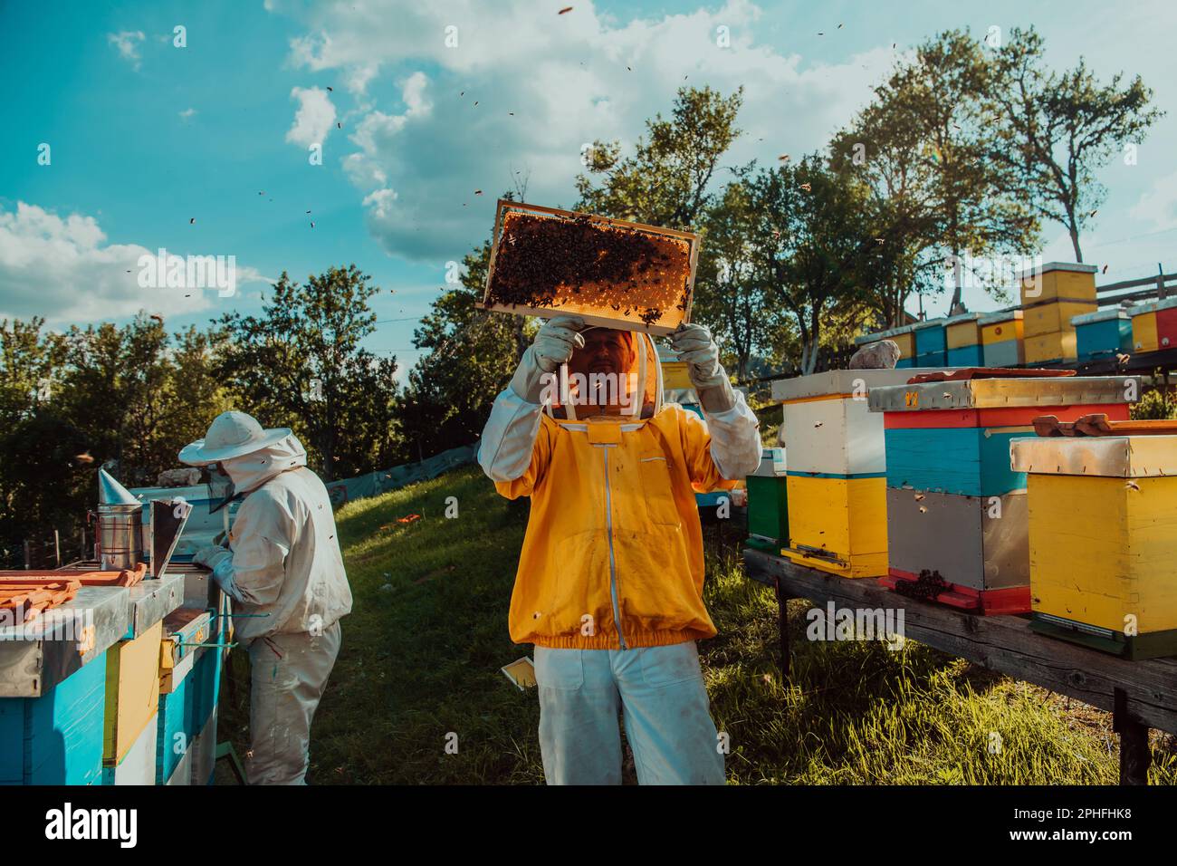 Imker prüfen Honig auf dem Bienenstockrahmen auf dem Feld. Inhaber ...